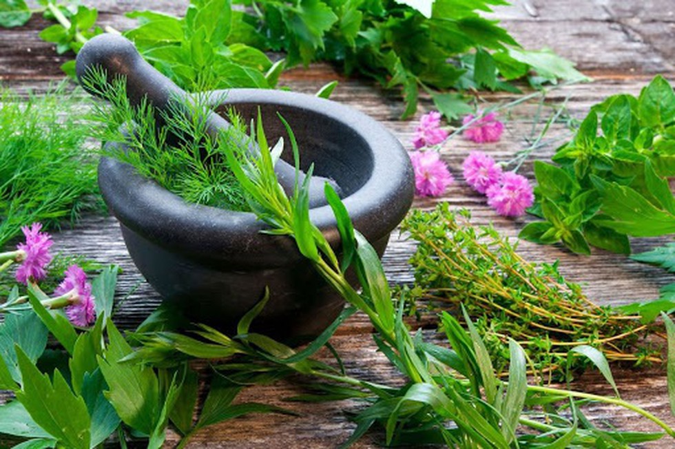 National Medicinal Plants Board NMPB And ICAR National Bureau Of national-medicinal-plants-board-nmpb-and-icar-national-bureau-of